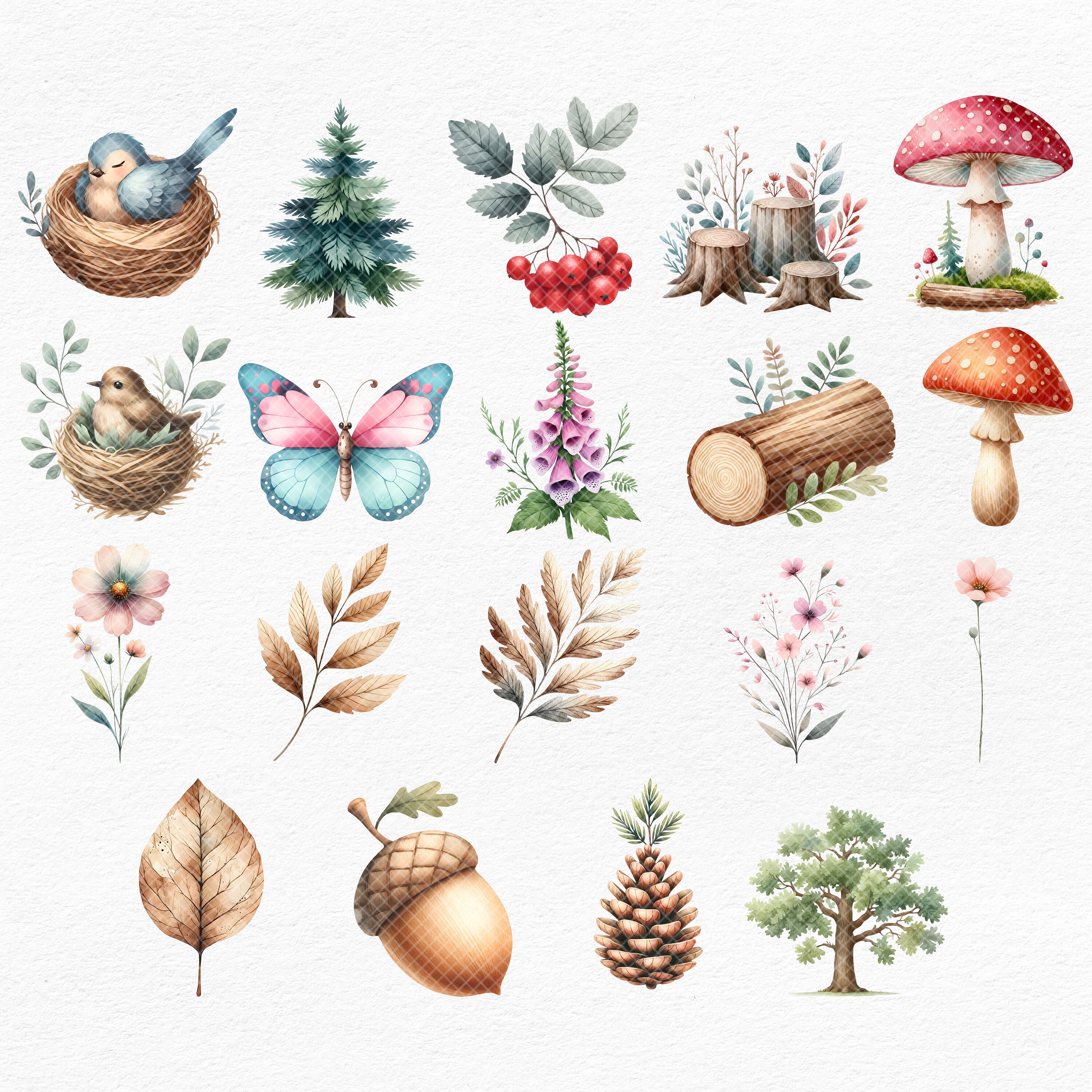 Woodland Animals Watercolor Clipart, Forest Animals Clipart,bear Owl ...