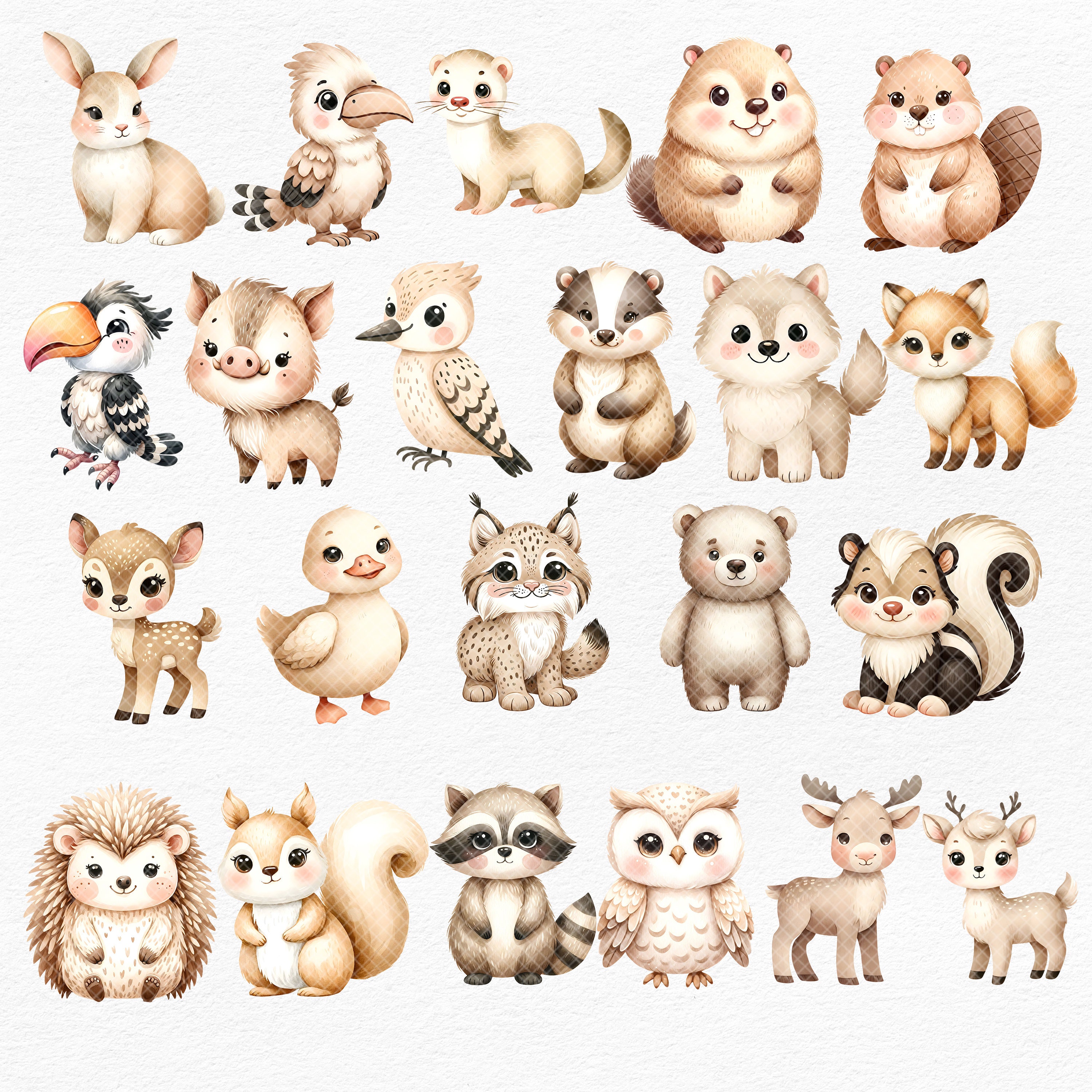 Woodland Animals Watercolor Clipart, Forest Animals Clipart,bear Owl ...