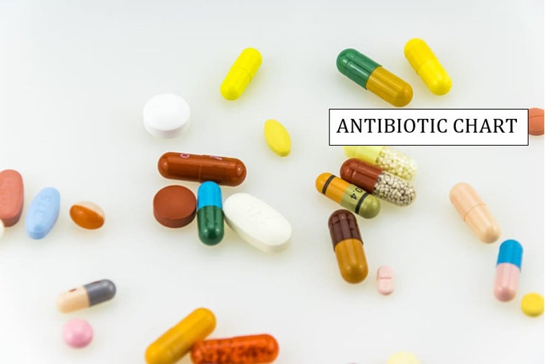 Antibiotic CHART - Etsy