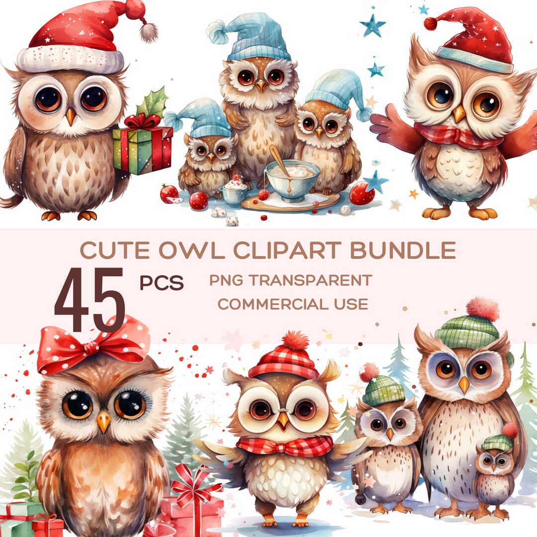 Cute Christmas Owls Clipart Bundle Christmas PNG Clipart Animal Owl ...