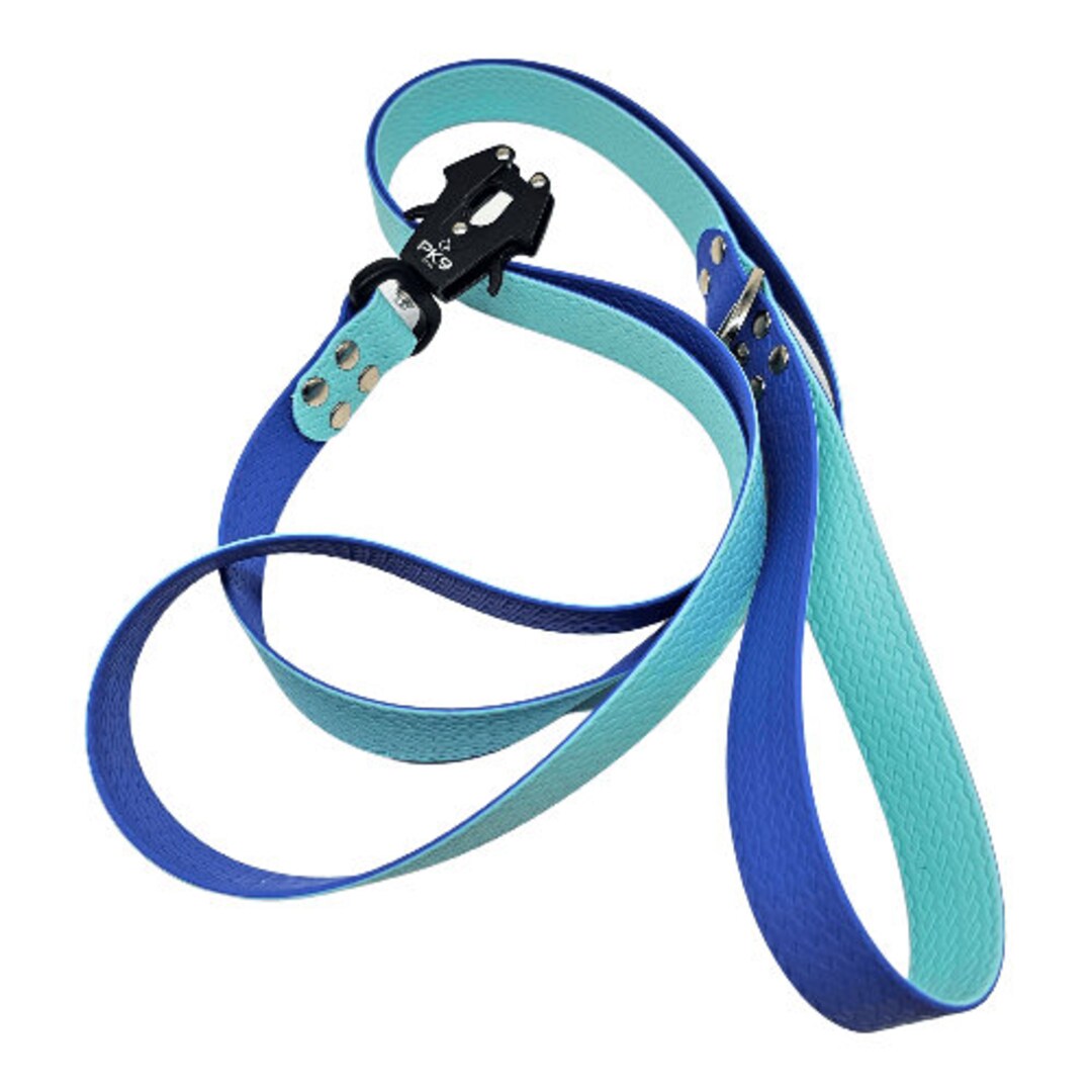 Handmade 6ft PVC Coated Webbing Dog Training Leash - Etsy