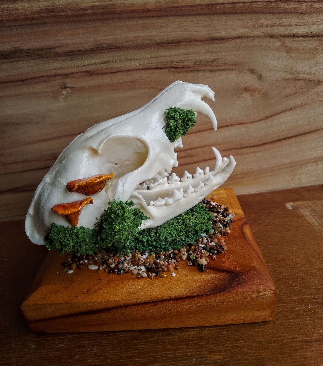 Fox Skull Moss Mount - Etsy