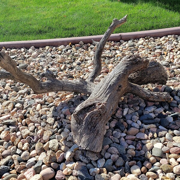 Root Art - Etsy