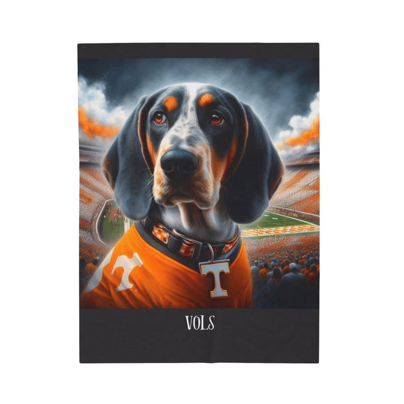 TN Vols Blanket, TN Vols, Plush Throw, Tennessee Volunteers Blanket ...