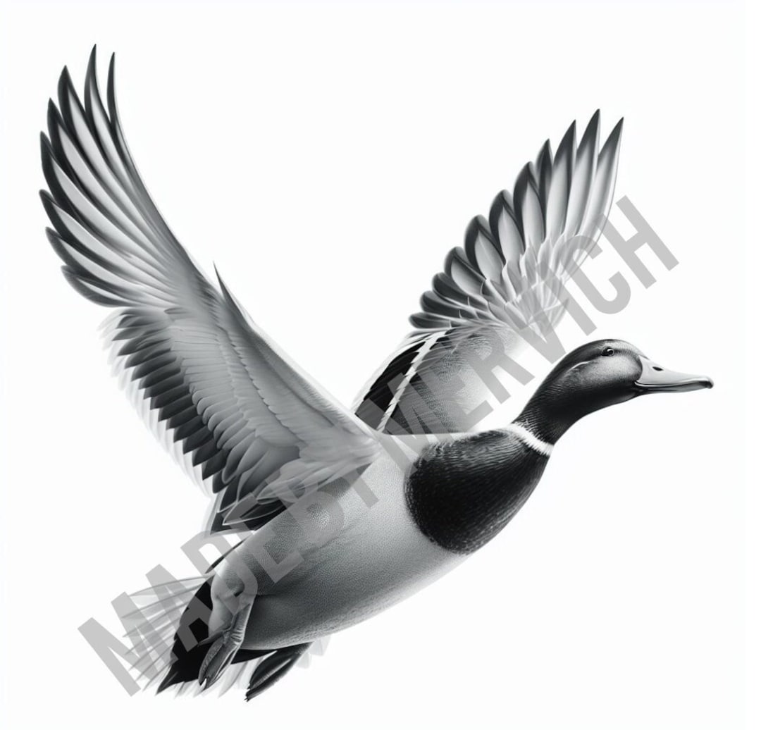 Laser Engrave PNG - Full Body Mallard / Duck / Duck Hunting / Laser ...