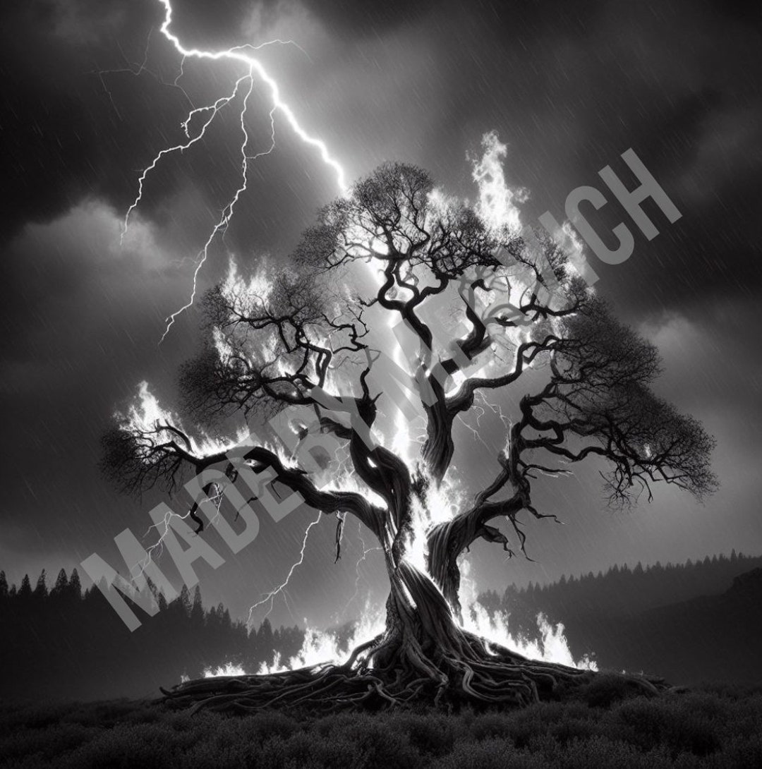 Laser Engrave PNG Majestic Tree / Laser Ready / PNG for Engraving / PNG ...
