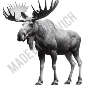 Laser Engrave PNG - Full Body Moose / Laser Ready / PNG for Engraving ...