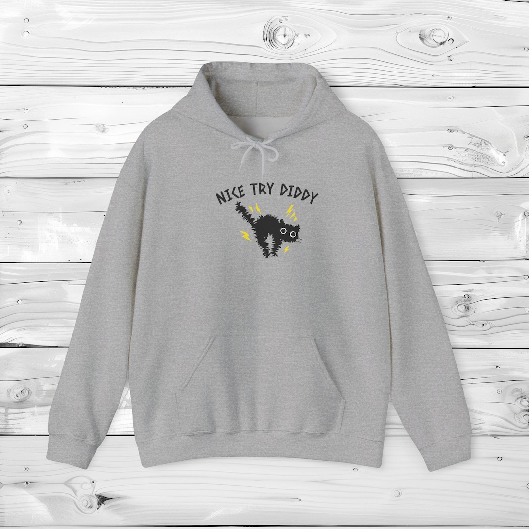 Fun, "nice Try Diddy" T-shirt, P Diddy, Puff Daddy, Puffy, the Diddler ...