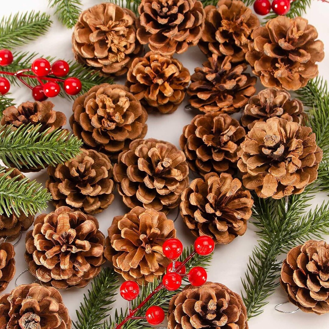 Rustic Pine Cones Ornaments Christmas Natural Pine Cones - Etsy