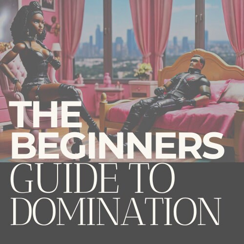 BEGINNERS GUIDE to DOMINANCE - Improve Your Domme Mindset With This ...