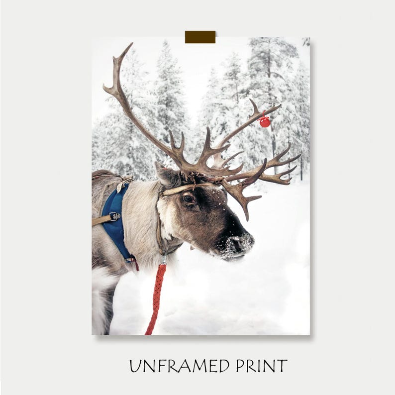 Reindeer Wall Art, Holiday Print, Christmas Wall Decor, Deer Photo ...