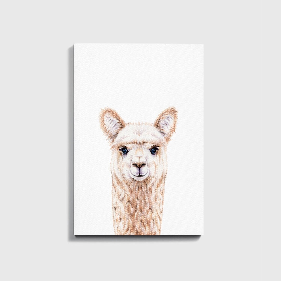 Llama Canvas, Alpaca Wall Art, Llama Print, Nursery Canvas Sale, Alpaca ...