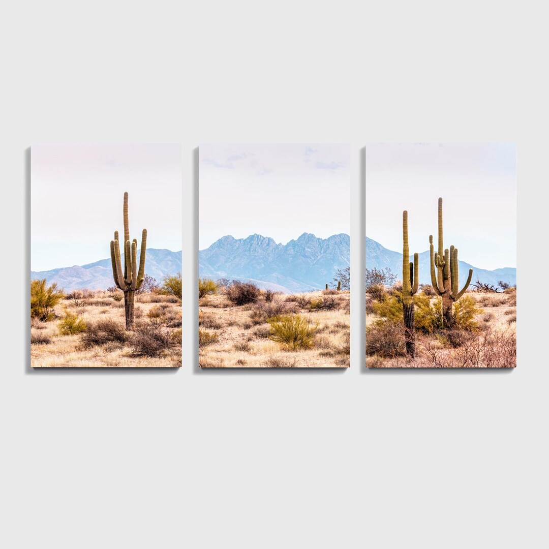 Desert 3 Piece Wall Art, Arizona Desert Triptych, Cactus Canvas, Desert ...