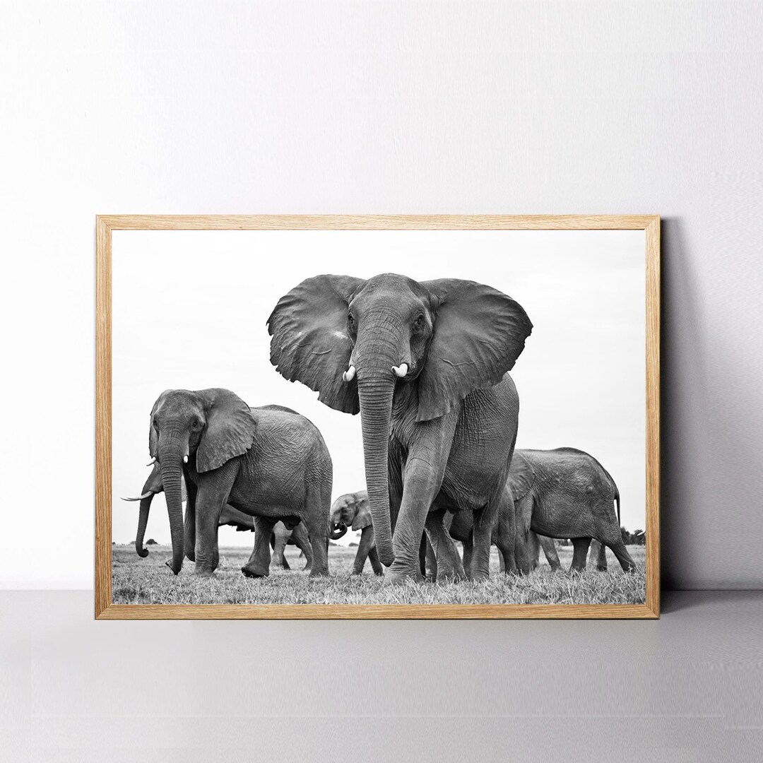 Elephant Print, Herd of Elephants Wall Art, African Elephant Framed ...