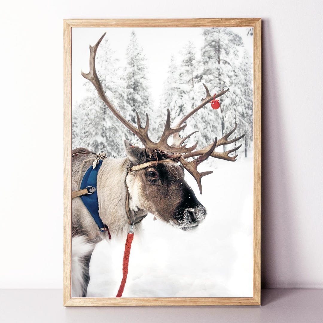 Reindeer Wall Art, Holiday Print, Christmas Wall Decor, Deer Photo ...