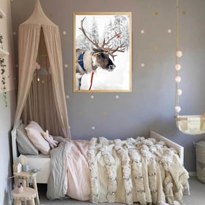 Reindeer Wall Art, Holiday Print, Christmas Wall Decor, Deer Photo ...