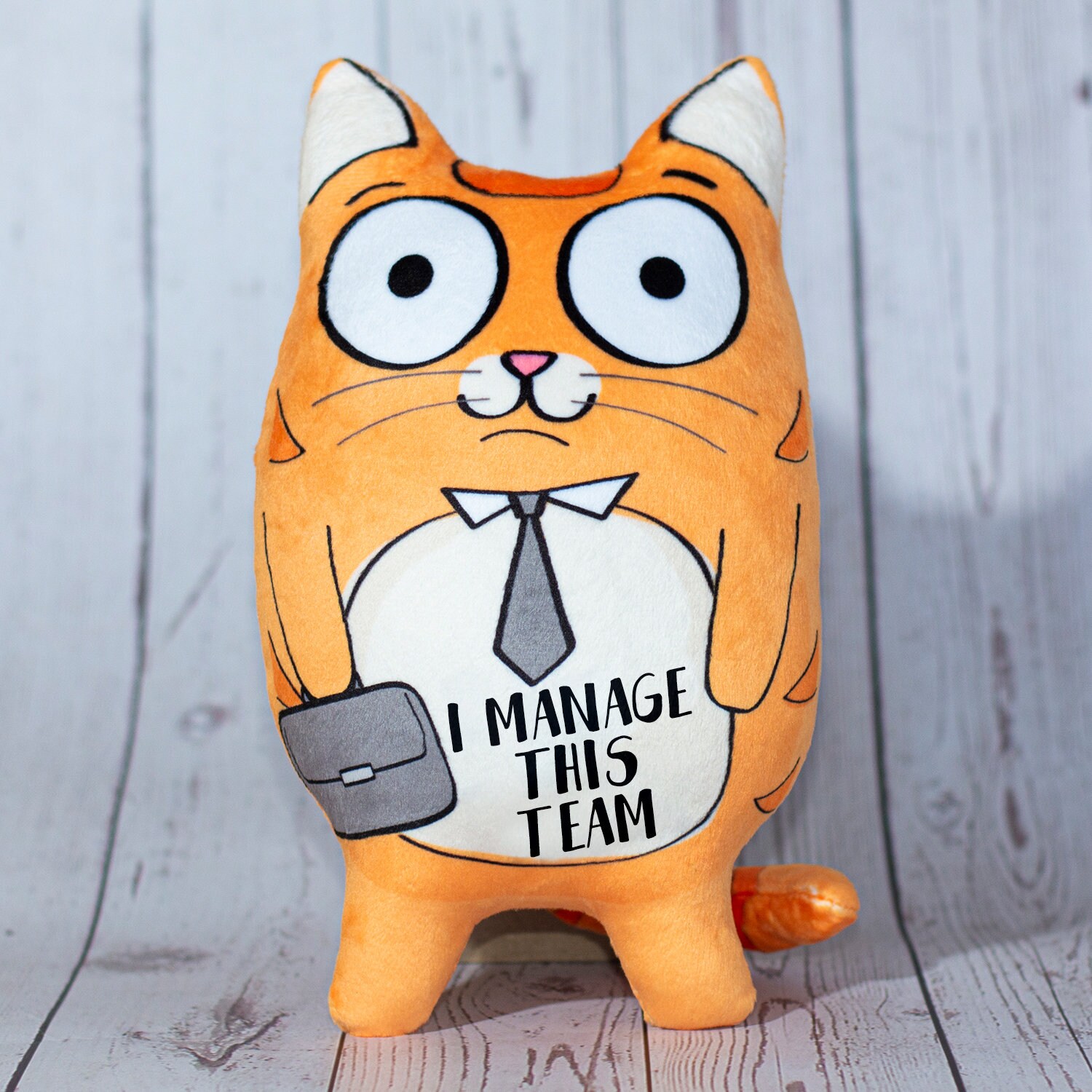 Custom Cat Plush|adorable Kitten|toy With Your Unique Message|office ...