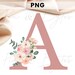 Watercolor Floral Alphabet & Numbers Graphic Bundle, Wedding Monograms ...