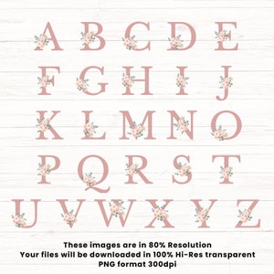 Watercolor Floral Alphabet & Numbers Graphic Bundle, Wedding Monograms ...