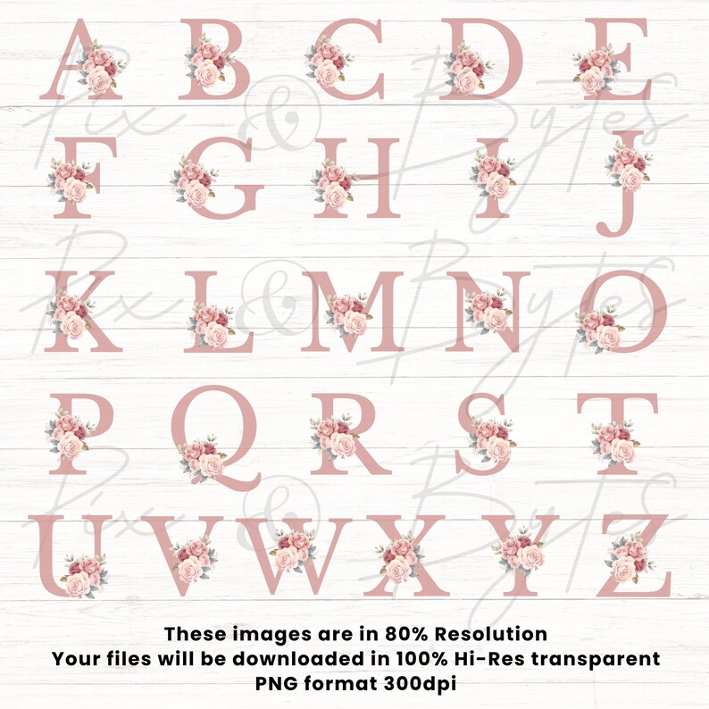 Floral Alphabet & Numbers Graphic Bundle, Dark Blush Letters, Wedding ...