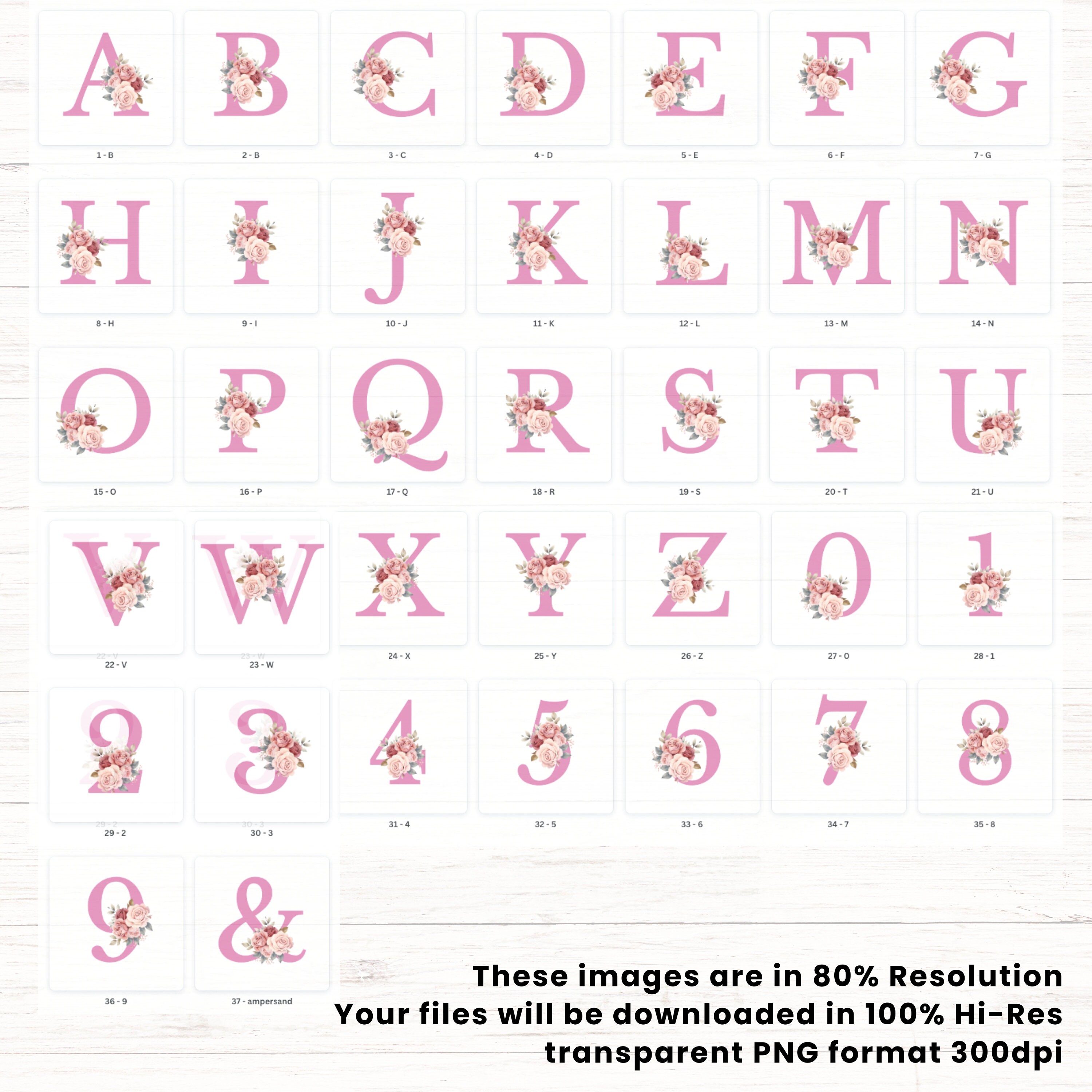 Floral Pink Alphabet & Numbers Graphic Bundle, Wedding Party Monograms ...