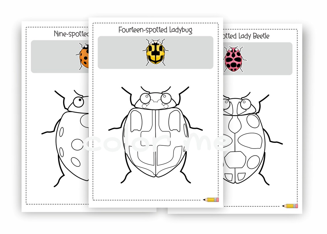 Printable Coloring Pages With Varieties of Ladybugs, Set of Simple ...