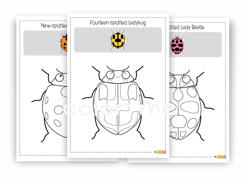 Printable Coloring Pages With Varieties of Ladybugs, Set of Simple ...