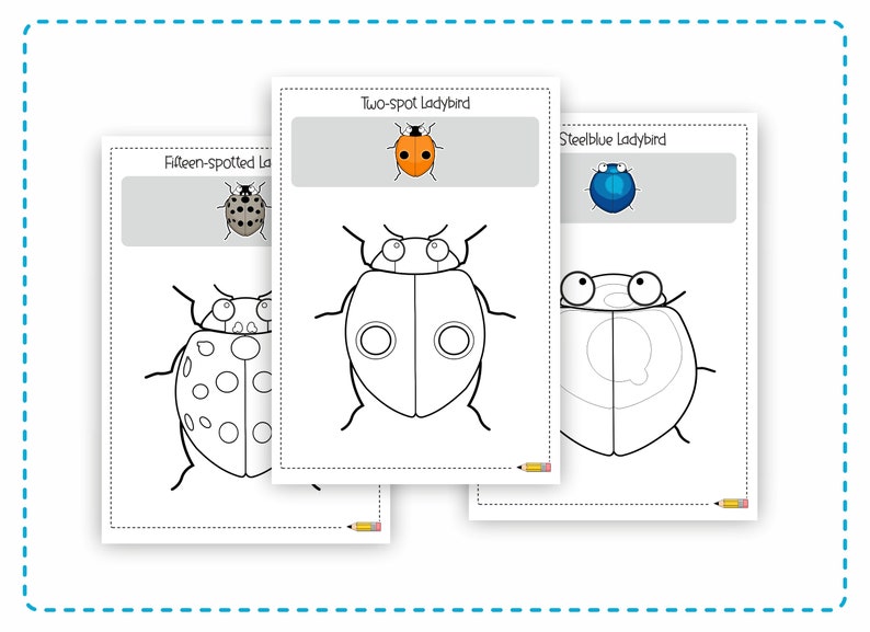 Printable Coloring Pages With Varieties of Ladybugs, Set of Simple ...
