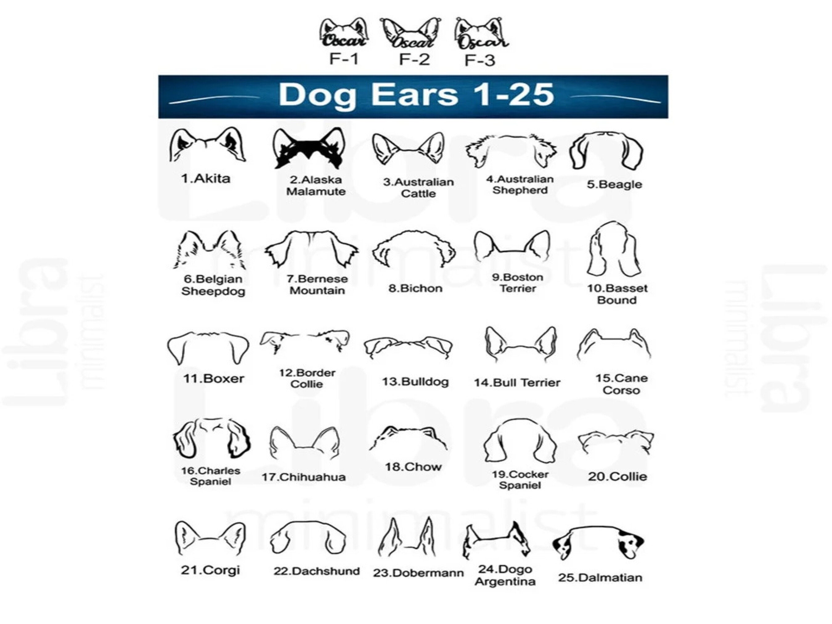 Personalized Pet Name Necklace Custom Dog Ear Pendant Gift for Animal ...