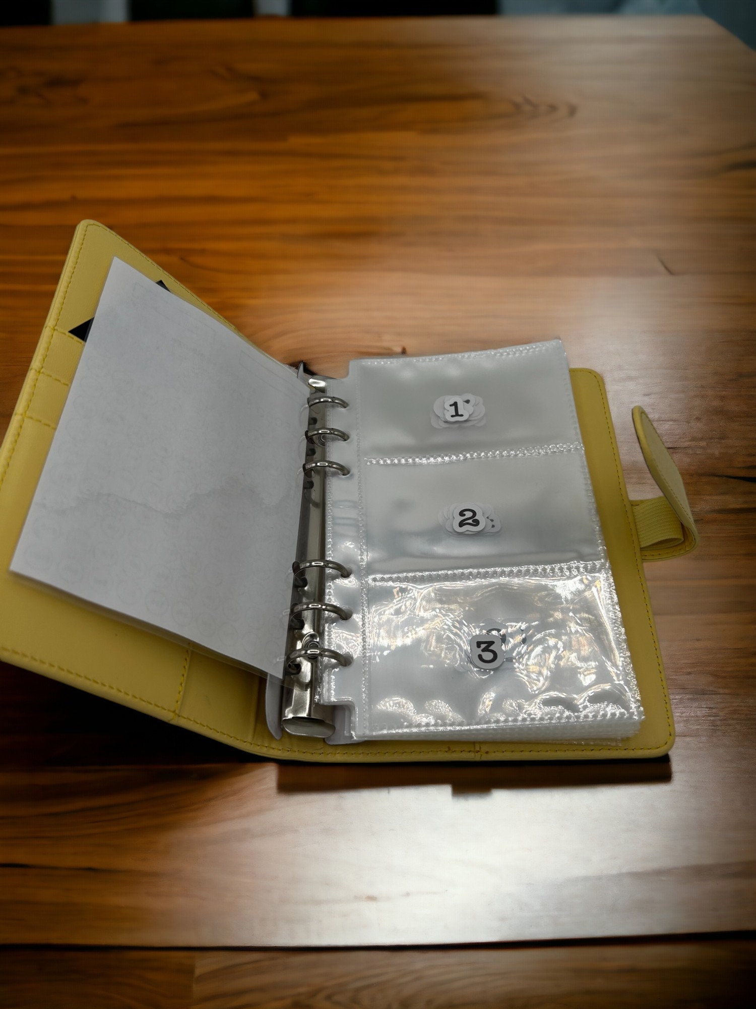 100 Envelope Challenge, Cash Stuffing, Budget Binder, 100 Envelope ...