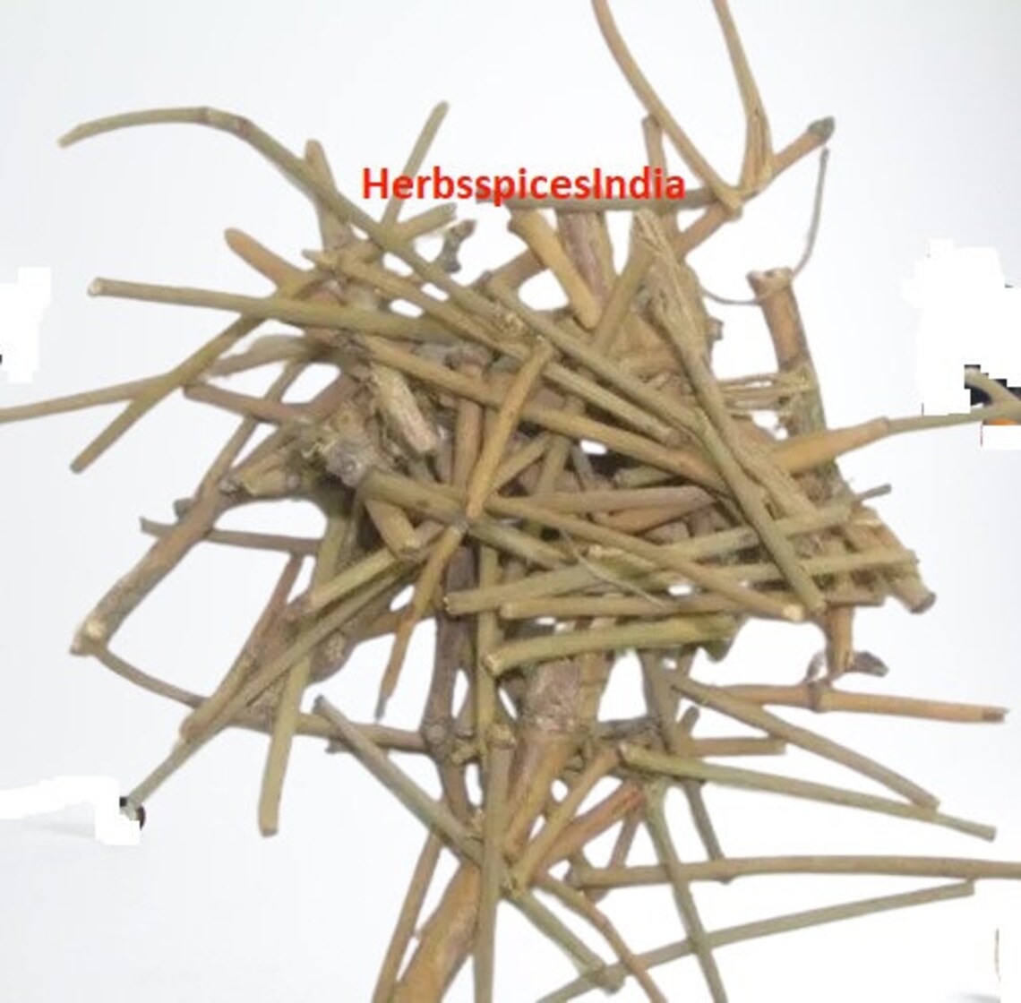 Herbsspicesindia, Somlata Whole, Somlata Powder, Ephidra Girardiana ...