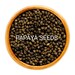 Dried Papita Seed,herbs, Seeds Papaya, Papaya Seeds, Dried Papita Beej ...