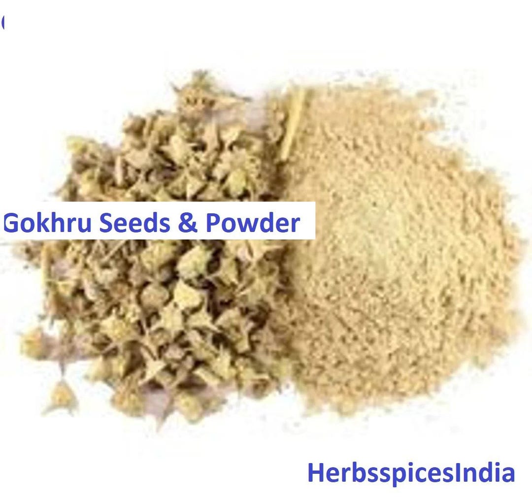 Herbsspicesindia - Gokhru Powder- Gokhru Seeds, Large Caltrops Seeds ...