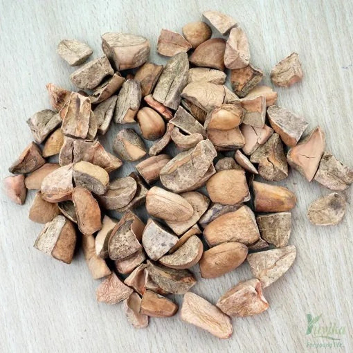 Organic Dried Mango Seed-mangifera Indica-aam Guthali-aam Magaj-mango ...