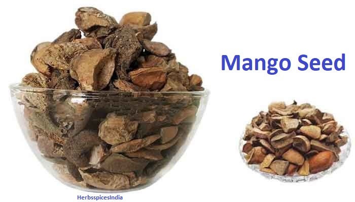 Organic Dried Mango Seed-mangifera Indica-aam Guthali-aam Magaj-mango ...