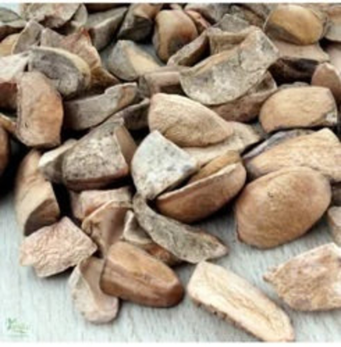 Organic Dried Mango Seed-mangifera Indica-aam Guthali-aam Magaj-mango ...