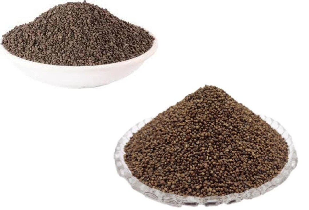 Lal Bala Seed, Beejband, Beej Band Seed, Country Mallow, Sida ...