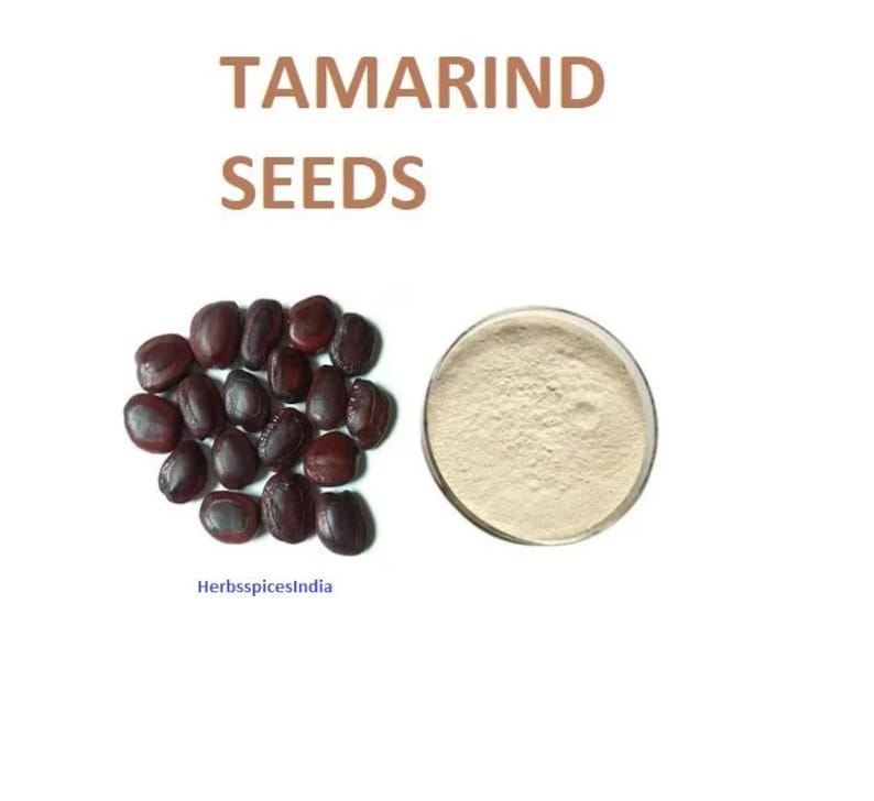 Tamarindus Indica Seed, Pure Tamarind Seeds, Imli, Imli Beej, Imli Beej ...