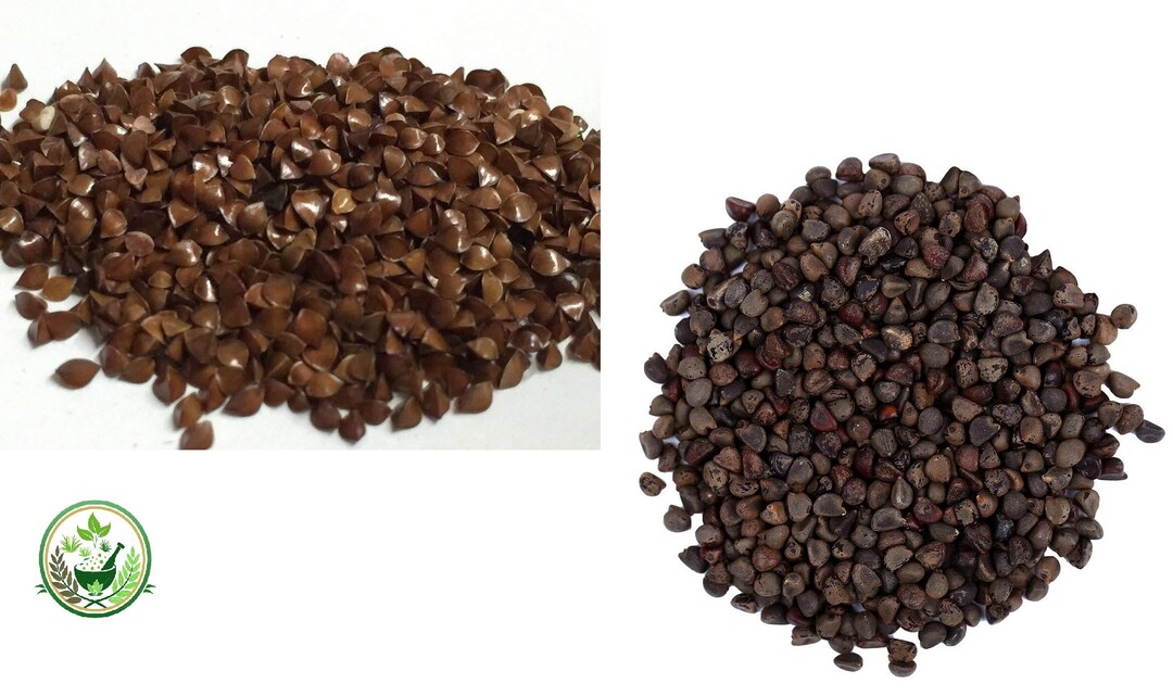 Herbsspicesindia, Lal Bala Seed, Beejband, Beej Band Seed, Country ...