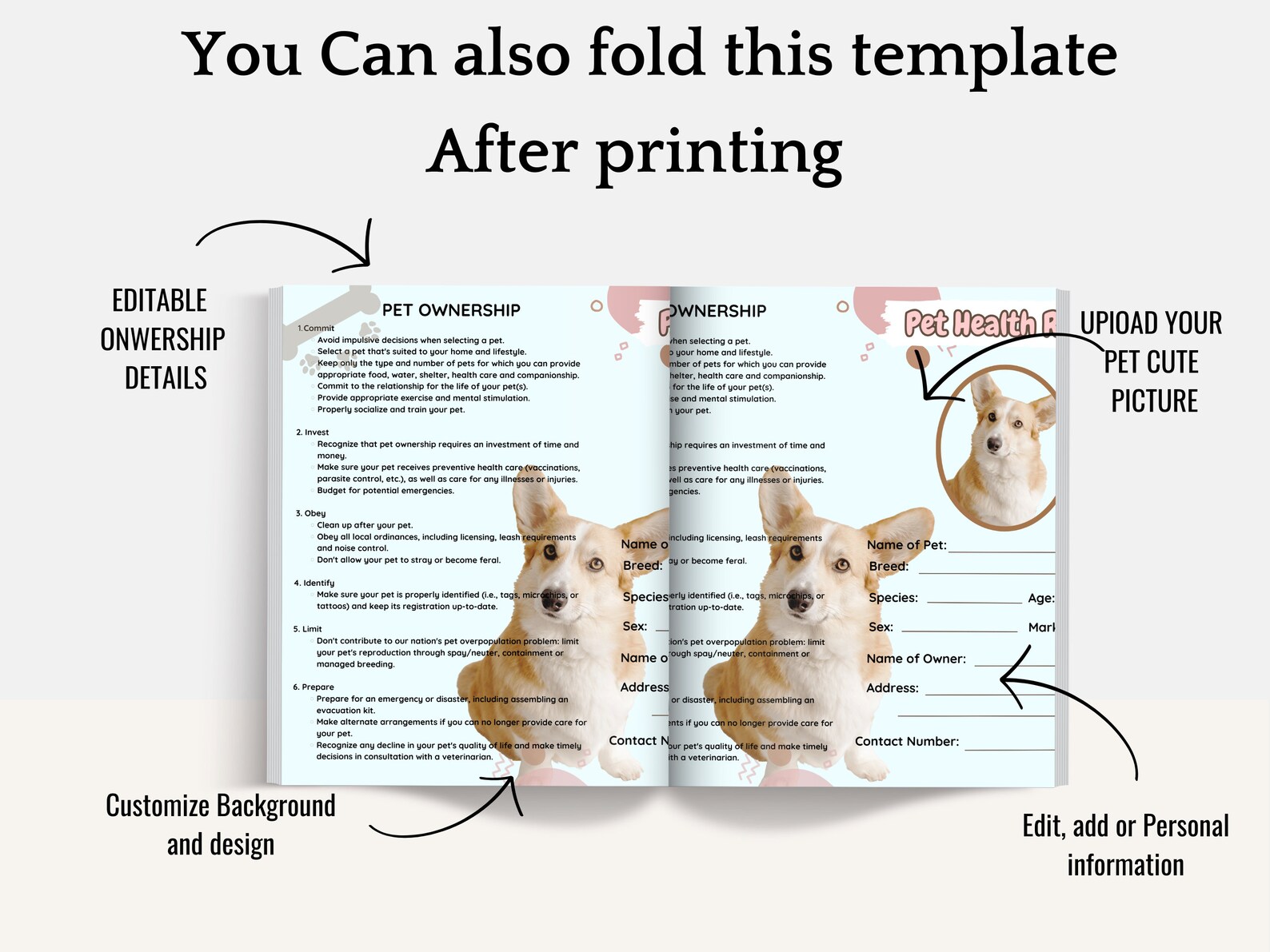 Pet Record Book Template Vaccination Tracker Digital Record Book Dog ...