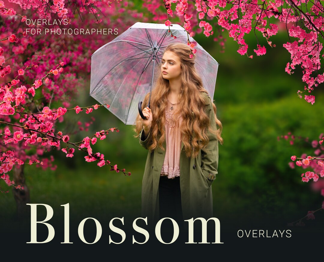 Blooming Branches Overlays Png Blossom Photoshop Overlay - Etsy