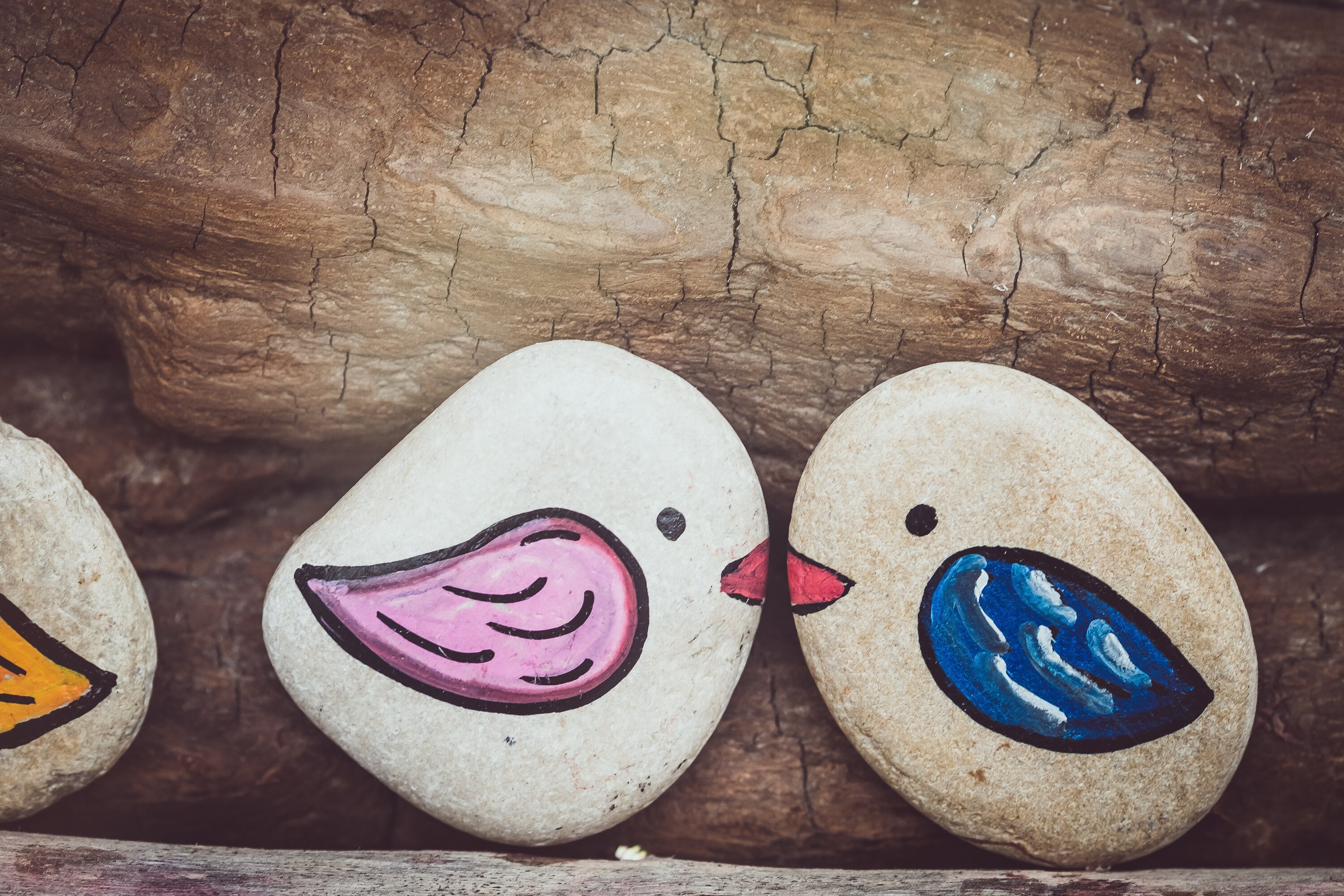 Painting Pebbles Painting Rocks Natural, Hand-picked, Smooth Rock ...