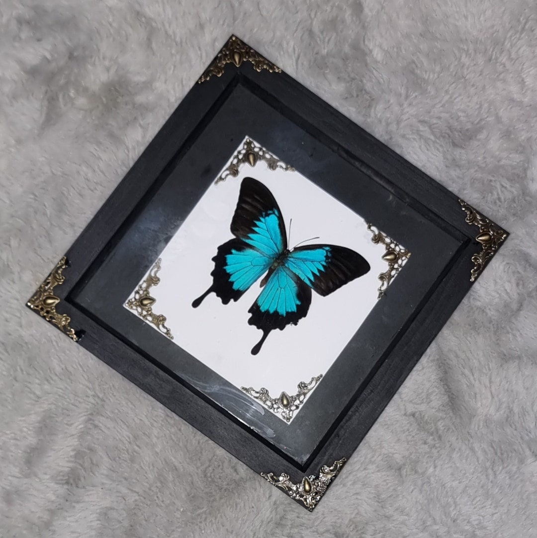 Hand Painted With Gothic Style Frame With a Black and White - Etsy