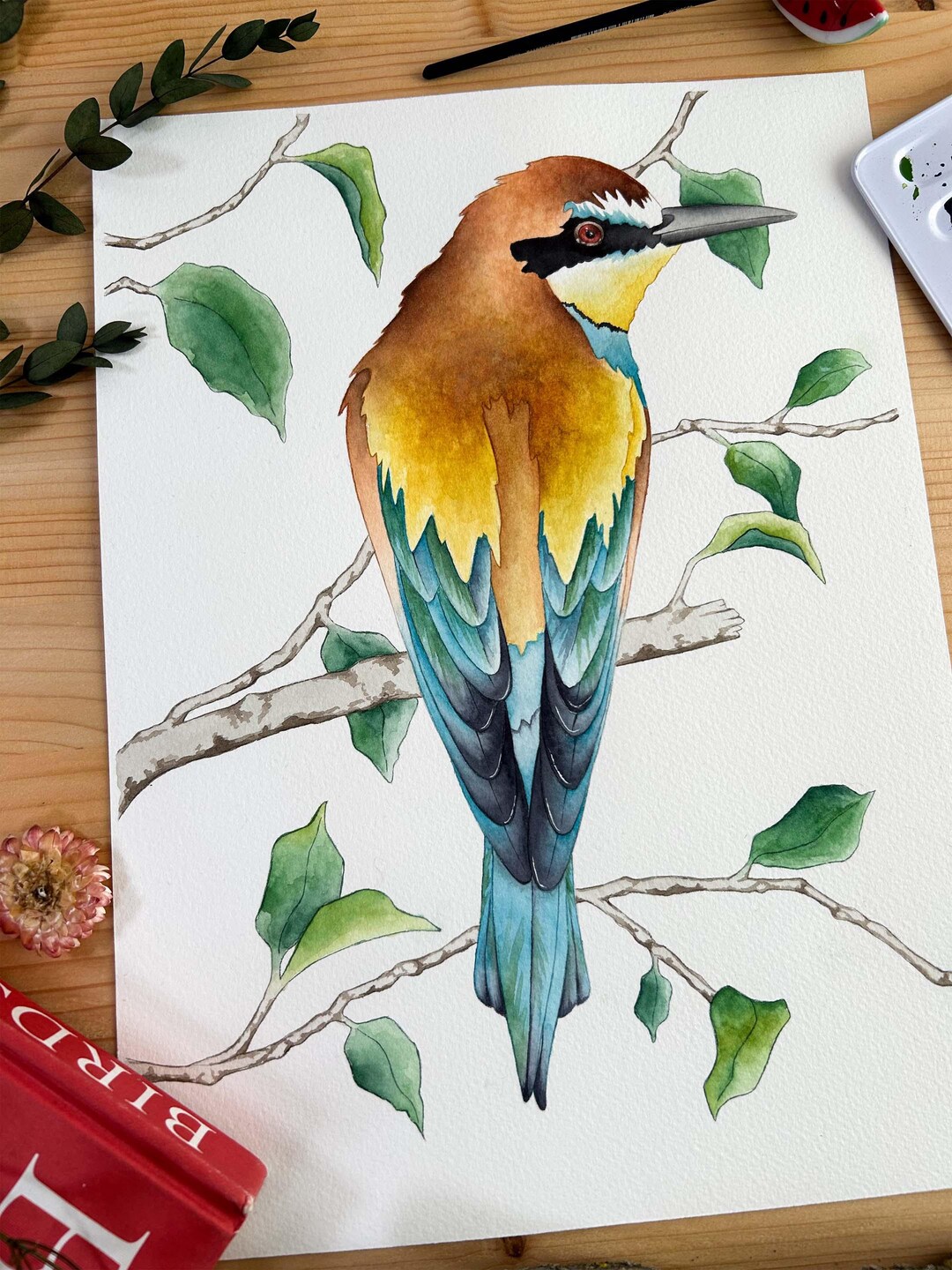 European Bee-eater Painting, Original Hand Painted Watercolor Bird ...