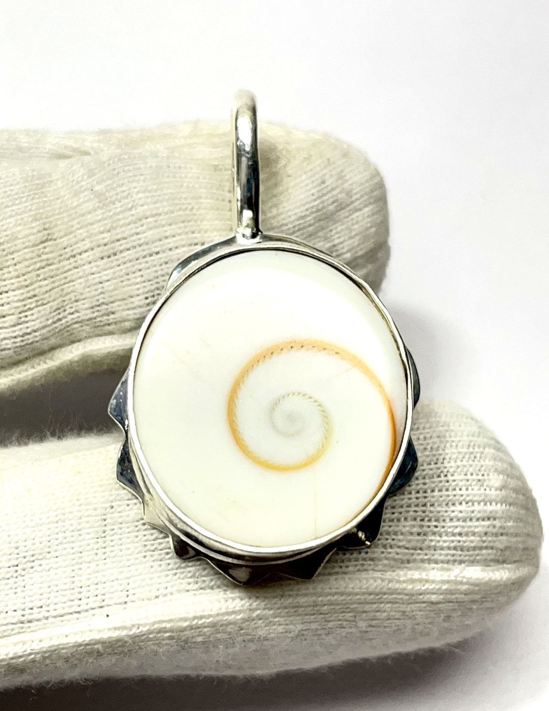 Shiva Eye Pendant, Shiva Eye Shell, Shiva Eye Jewelry, Shiva Eye ...
