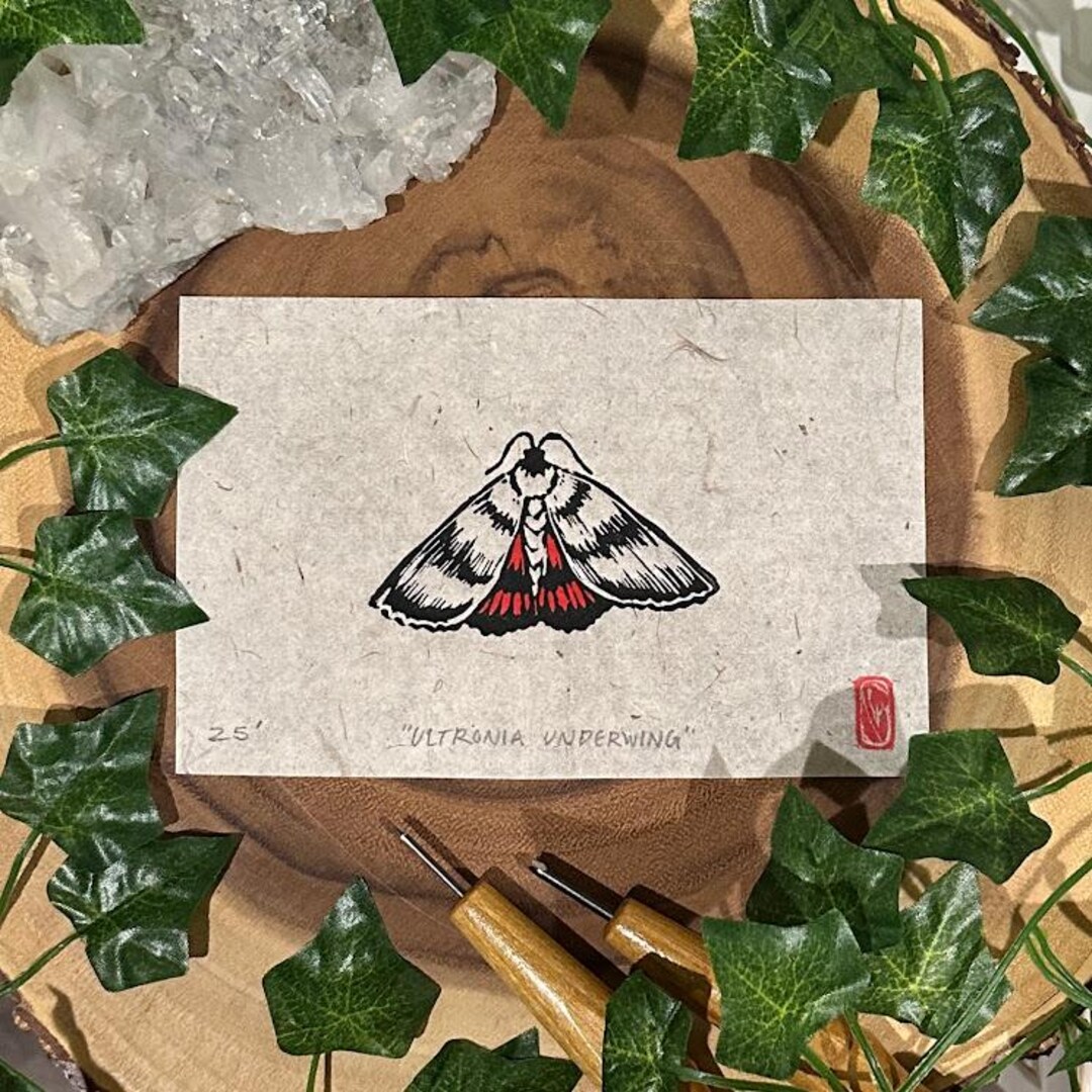 Ultronia Underwing Moth | Linocut Print | Black & Red - Etsy Australia