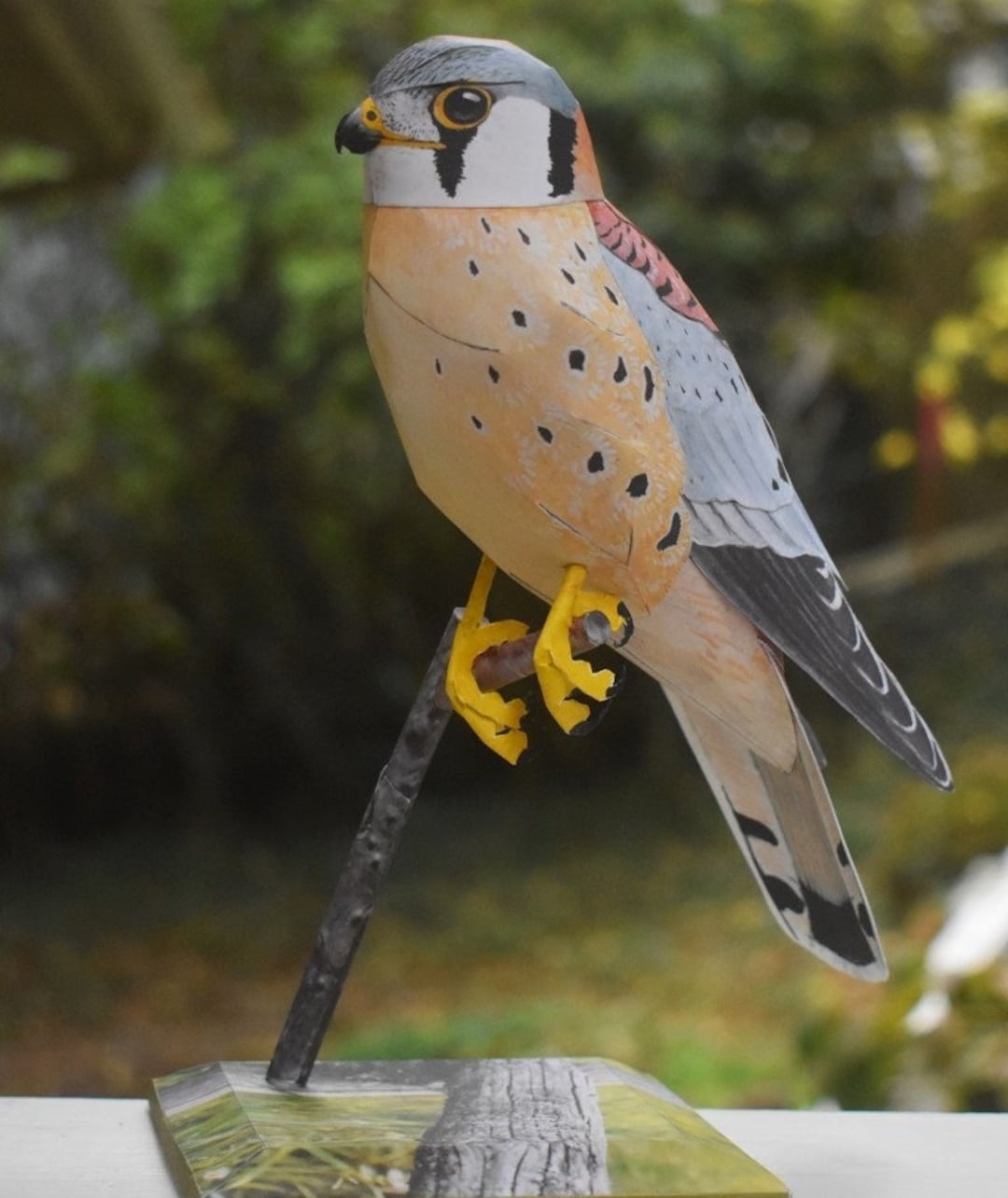 Papercraft 3D American Kestrel Realistic Bird Model 1/1 Scale - Etsy