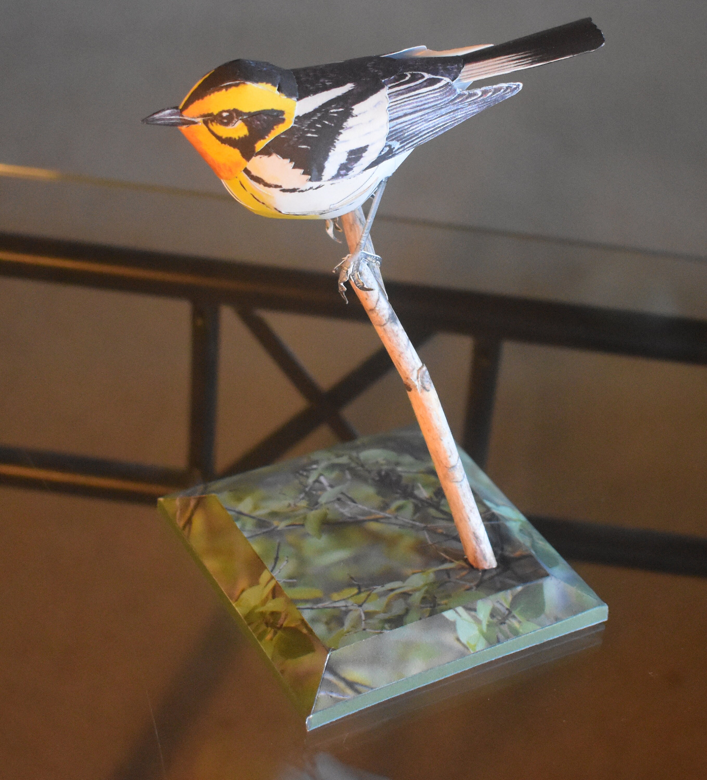 Papercraft Blackburnian Warbler 3D a Realistic Paper Model - Etsy