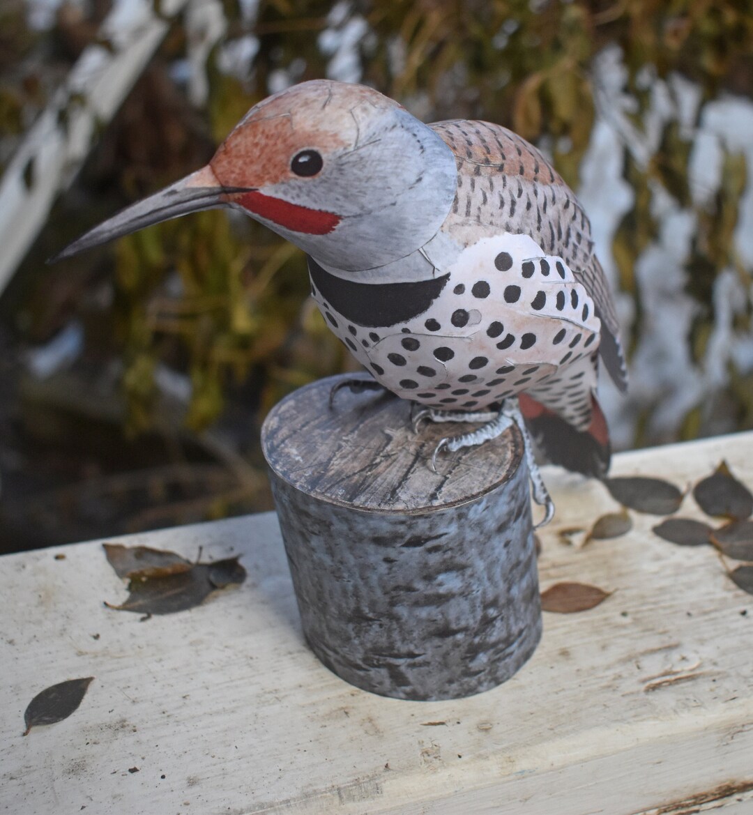 Papercraft 3D Northern Flicker Bird Paper Model - Etsy