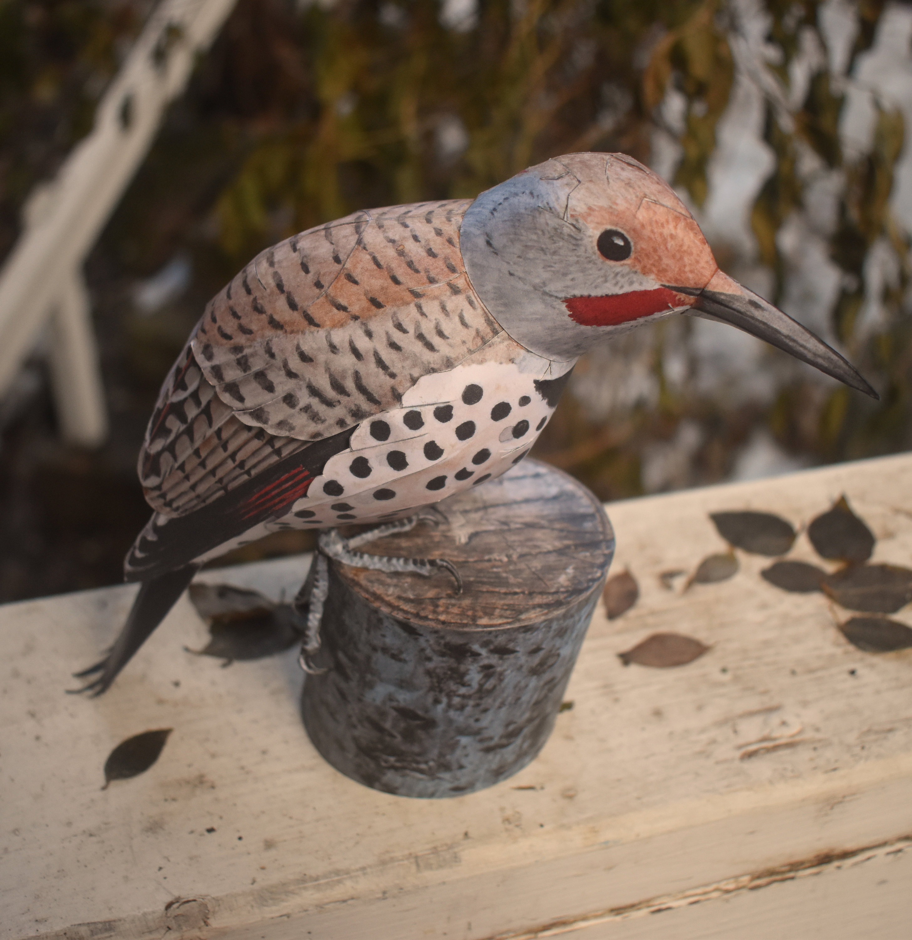 Papercraft 3D Northern Flicker Bird Paper Model - Etsy
